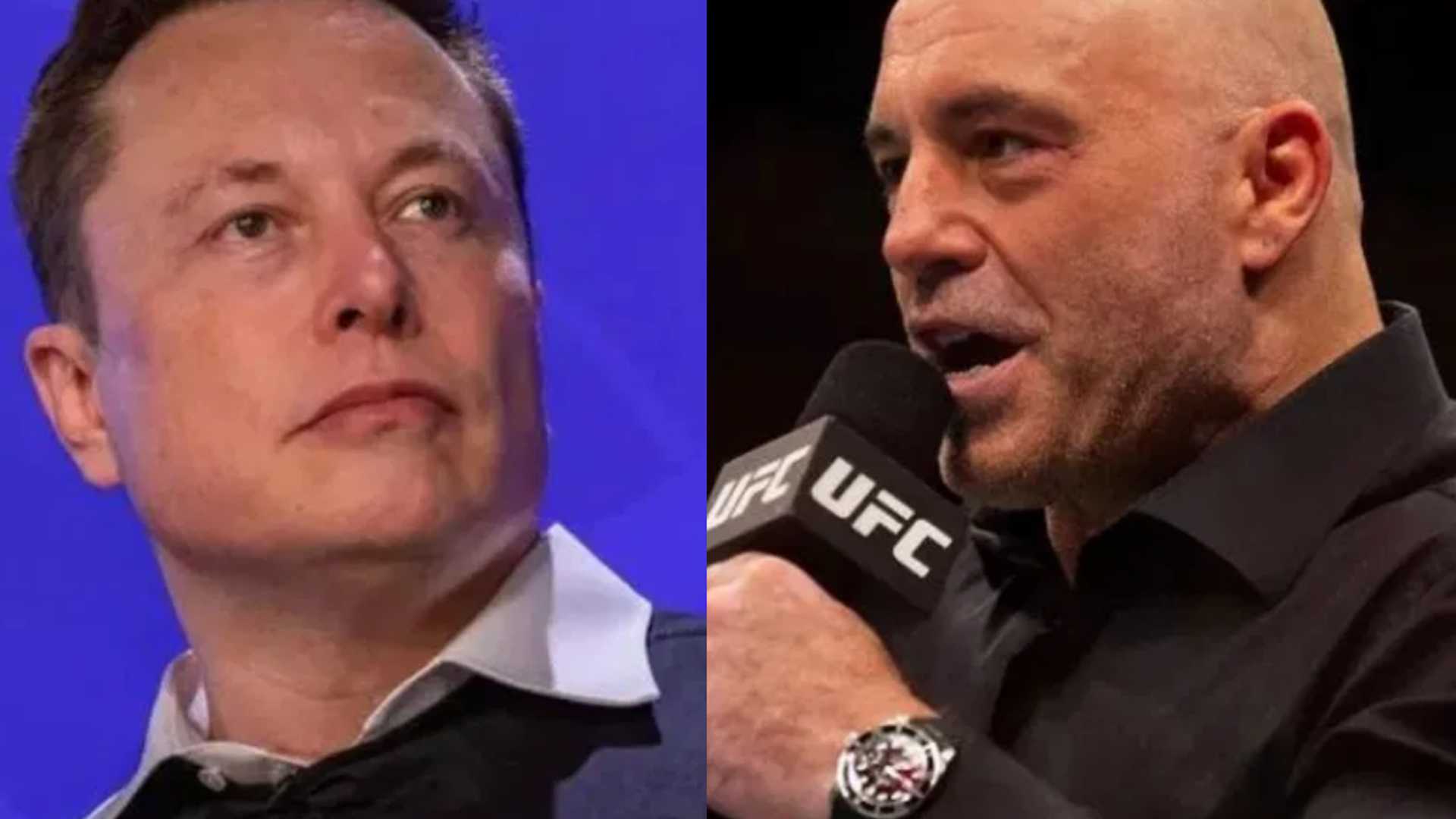 The Grok Dilemma: Joe Rogan's Verdict Revealed - Fusion Chat