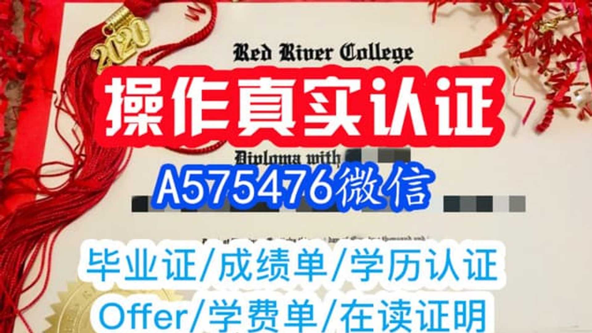 When ChatGPT Vanished: A Content Creator's Nightmare - Fusion Chat