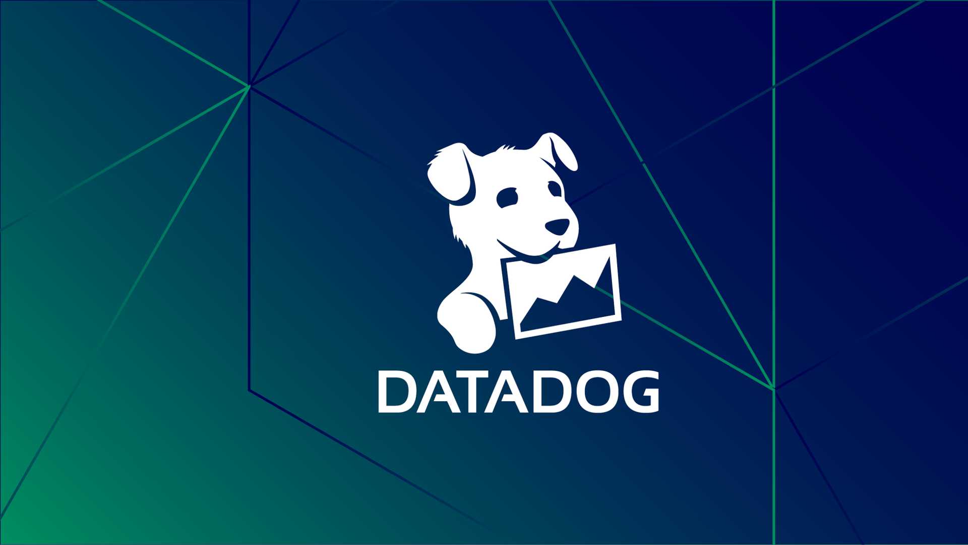 Unveiling the Power of Auto Instrumentation with Datadog - Fusion Chat