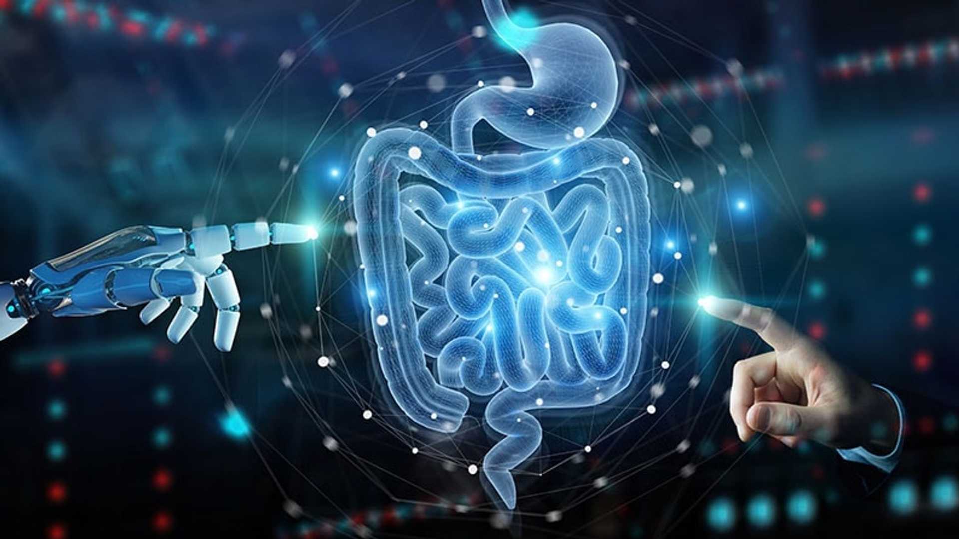 Improving Colon Health: A ChatGPT4 Breakthrough - Fusion Chat