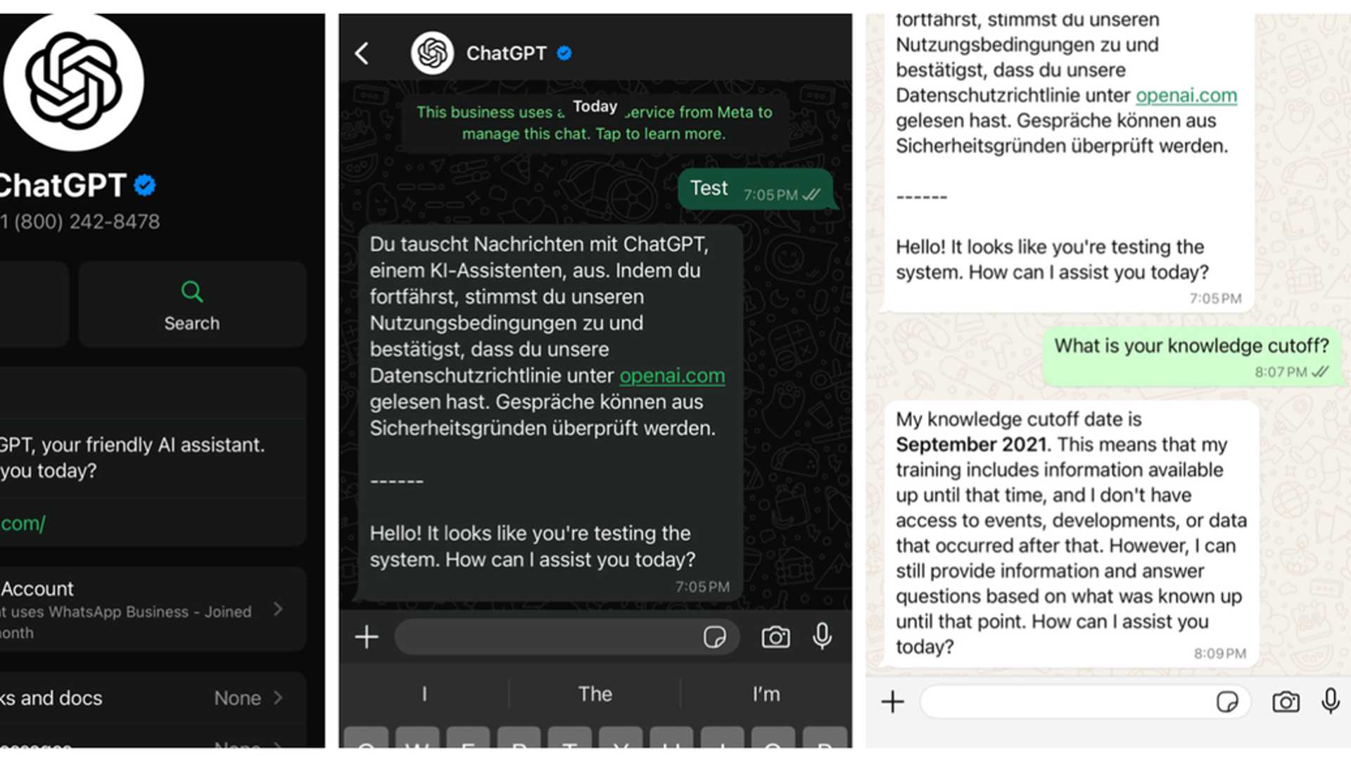 Accessible AI: ChatGPT's 1-800 Number and WhatsApp Channel - Fusion Chat