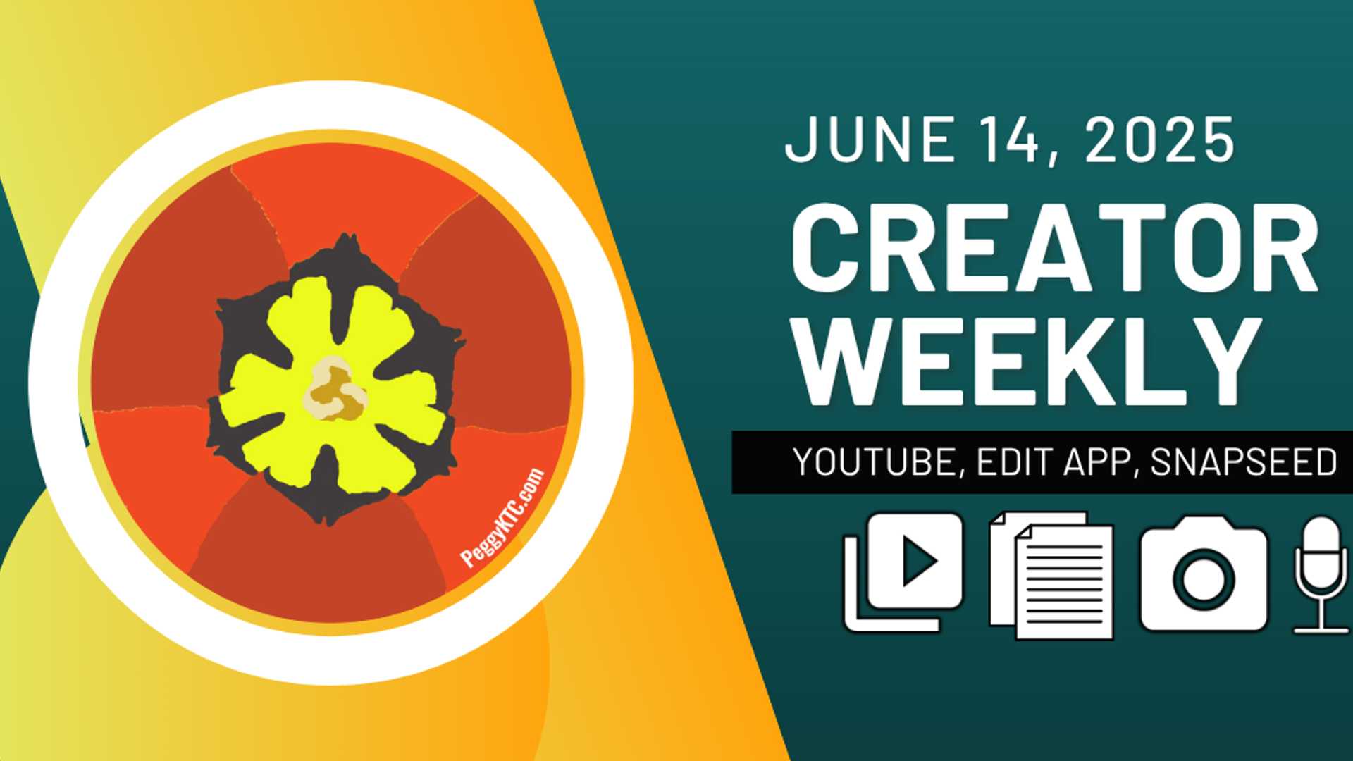 Stay Updated with the Latest in Creator Weekly - Fusion Chat