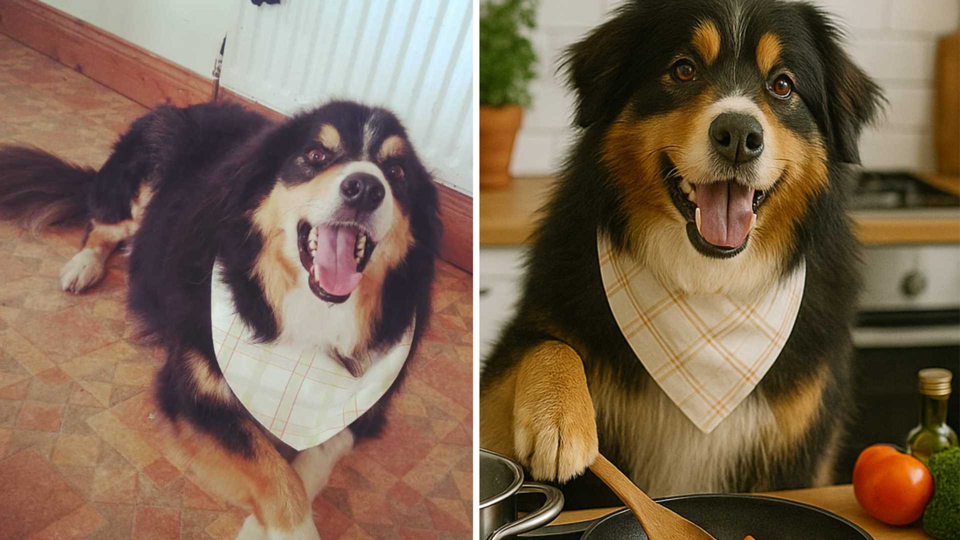 Paws and Pans: Dogs Take Over the Kitchen with ChatGPT - Fusion Chat