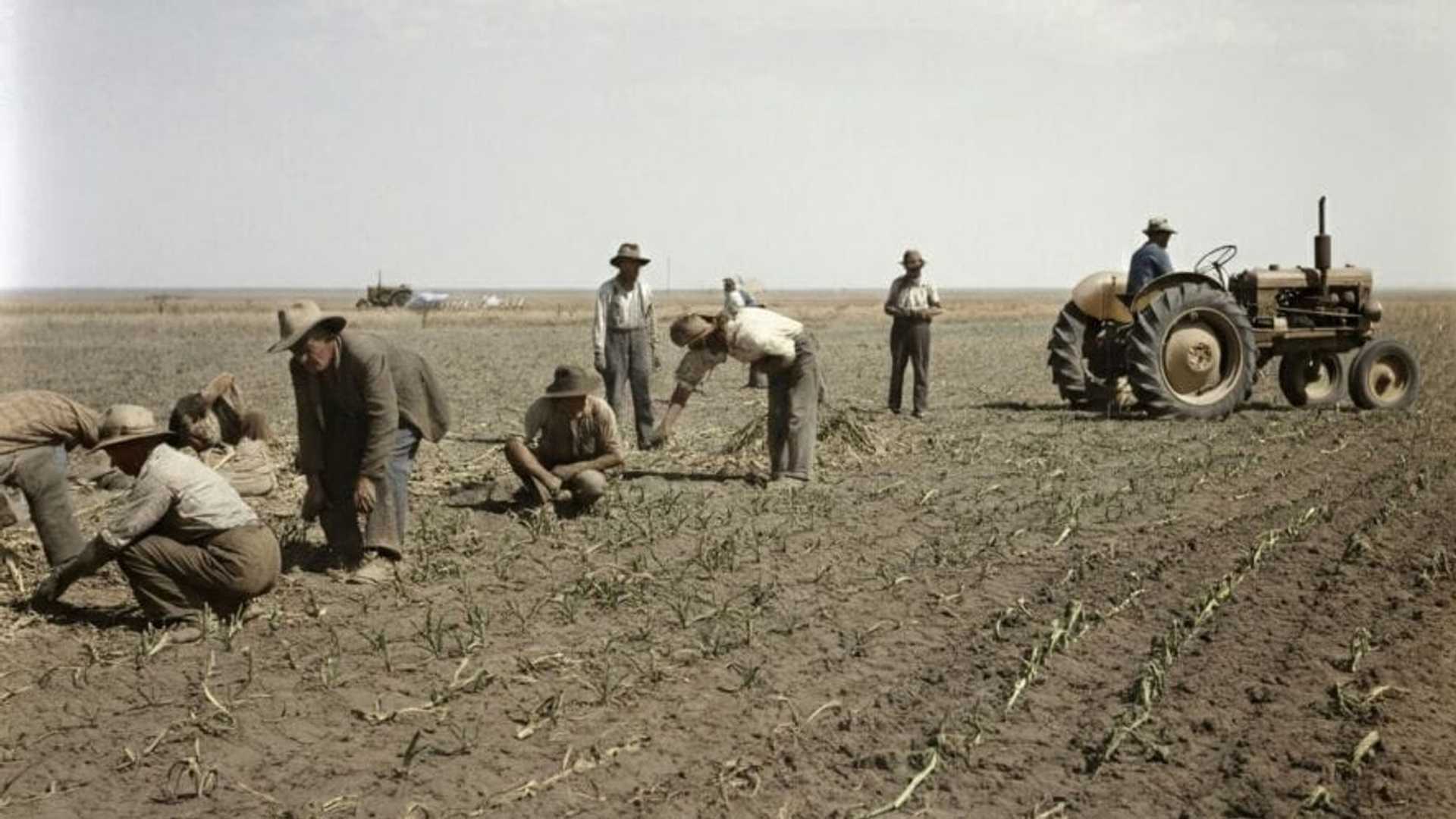 The Looming Threat: Droughts Impacting U.S. Food Security - Fusion Chat