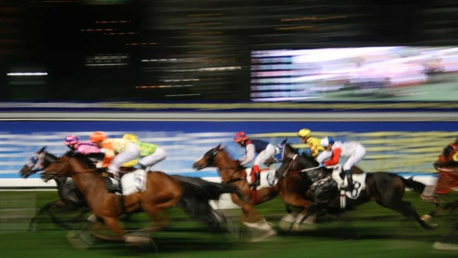 AI meets Horse Racing: The Future of Betting - Fusion Chat