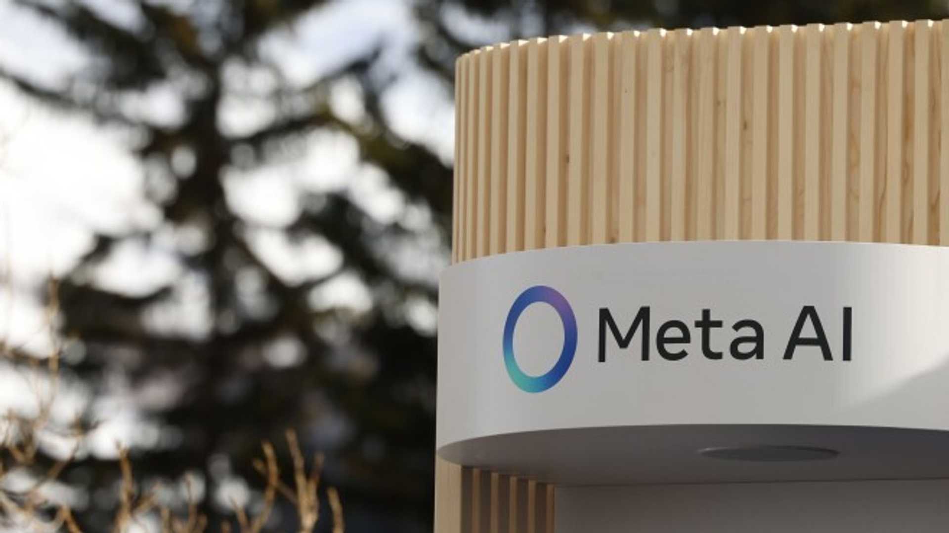 Meta's Fair Use Position Supported by Law Professors in Copyright ...