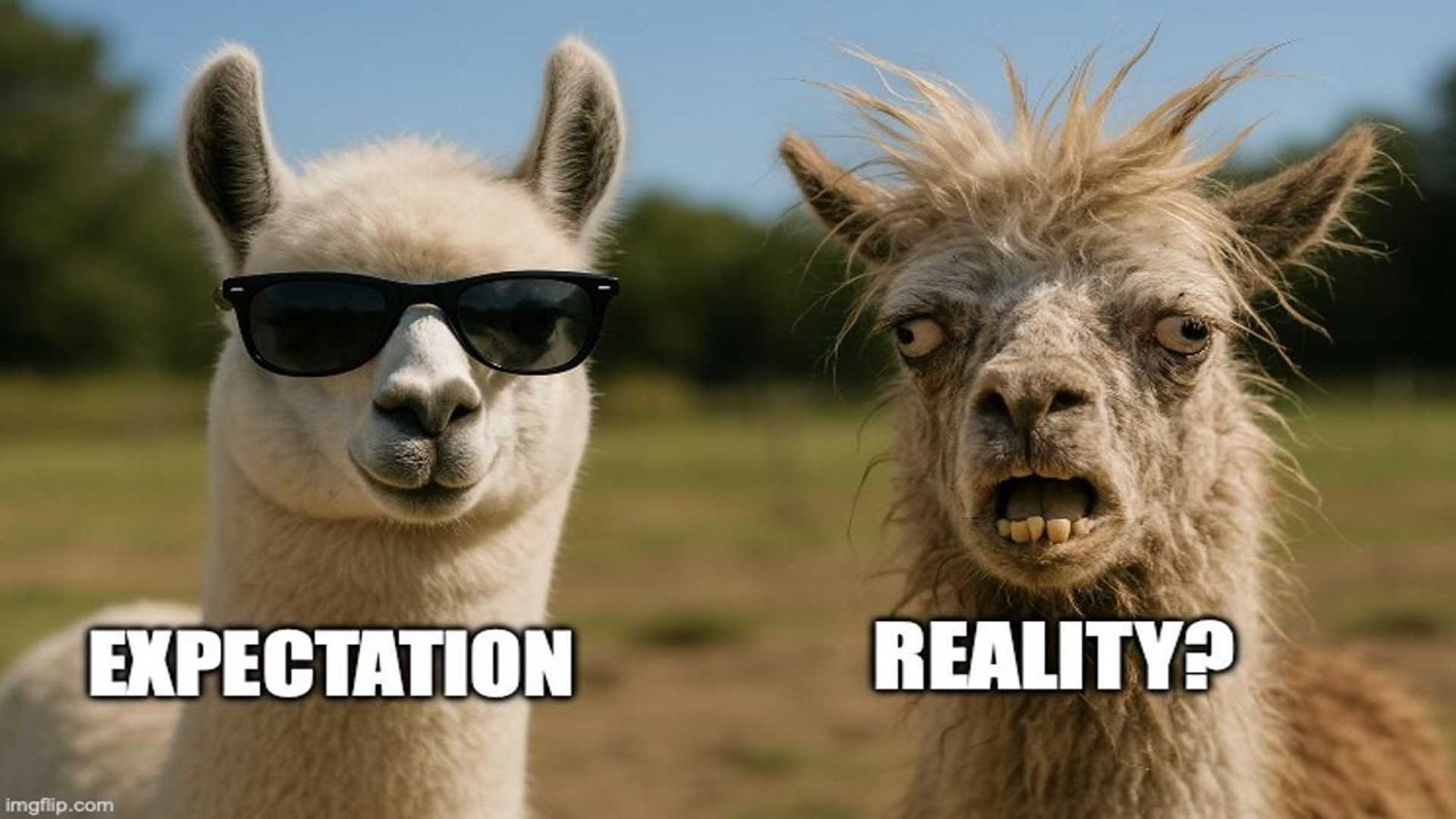 Unveiling Meta's Llama 4 AI Controversy - Fusion Chat