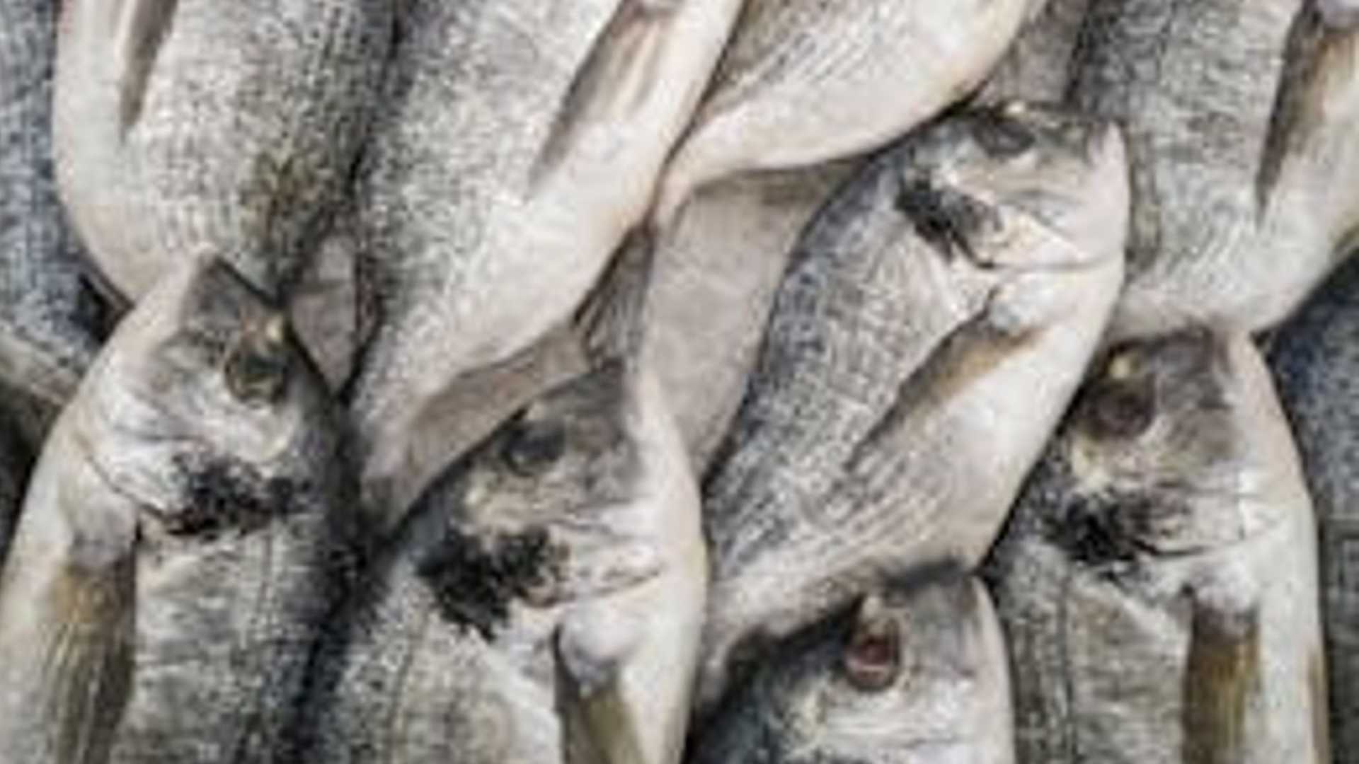 10 Catchy Titles for the AI Blog Post - Fusion Chat