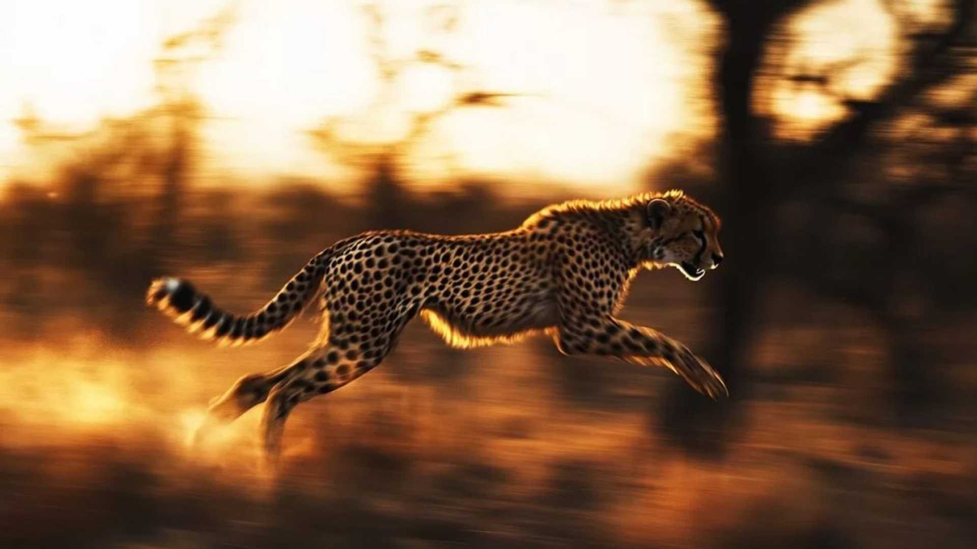 Unveiling Movie Gen: The Future of Video Creation with AI - Fusion Chat