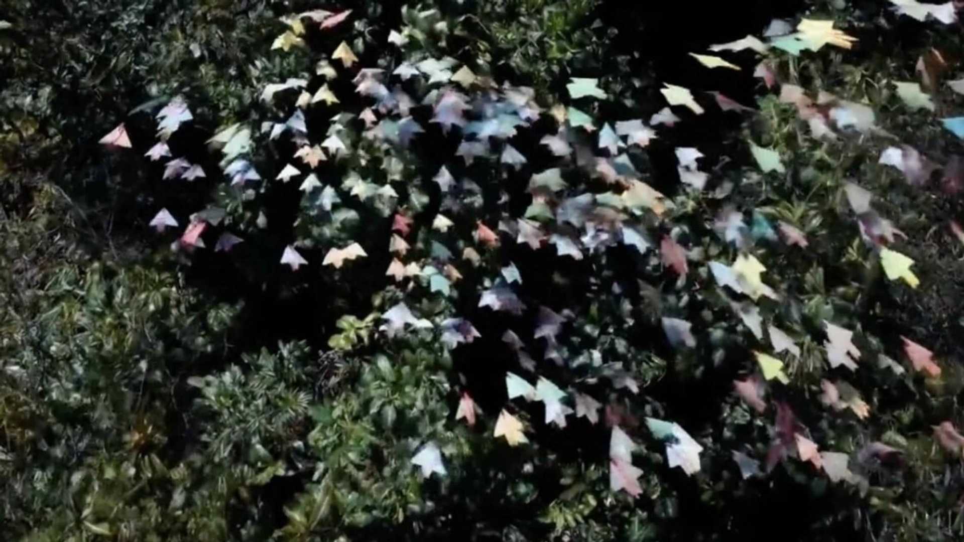 Transforming Text into Video: The Magic of Sora by OpenAI - Fusion Chat Transforming Text into Video: The Magic of Sora by OpenAI - Fusion Chat
