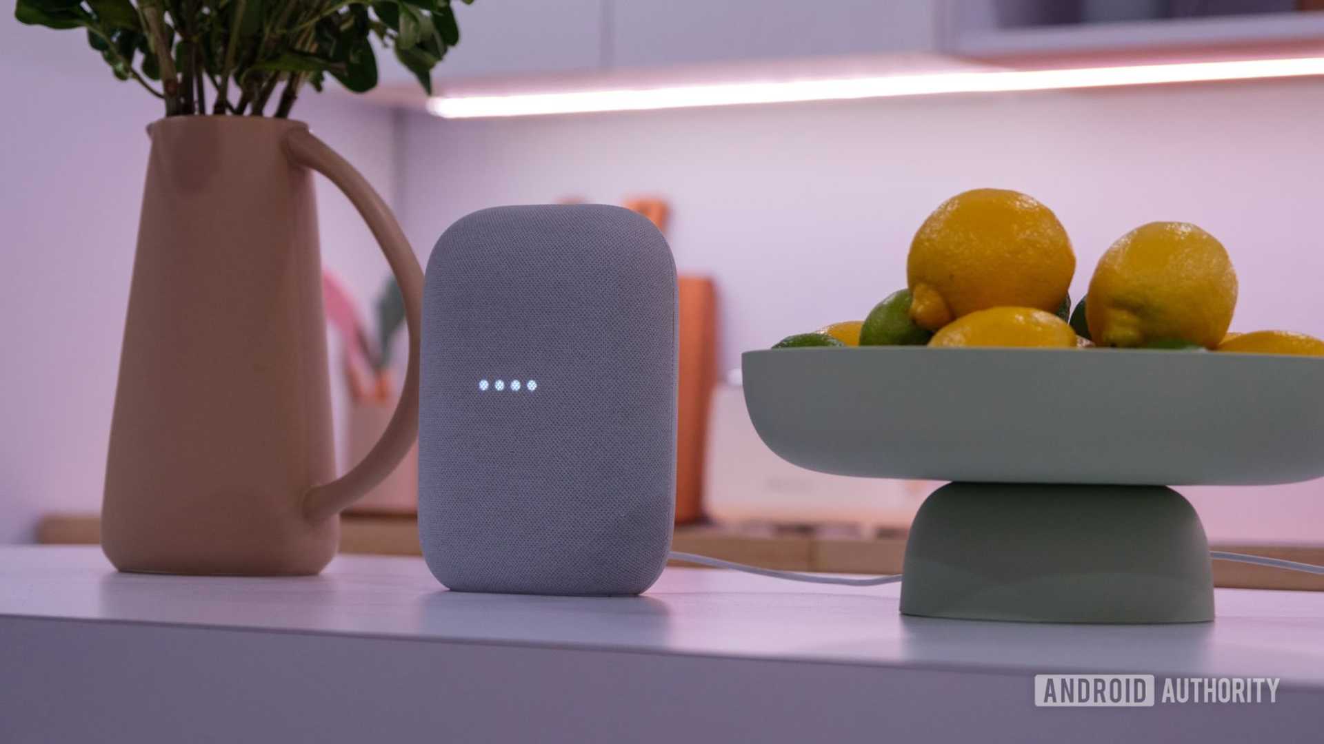 Decoding the Blue-Purple Glow: Google Nest Audio and Gemini AI ...