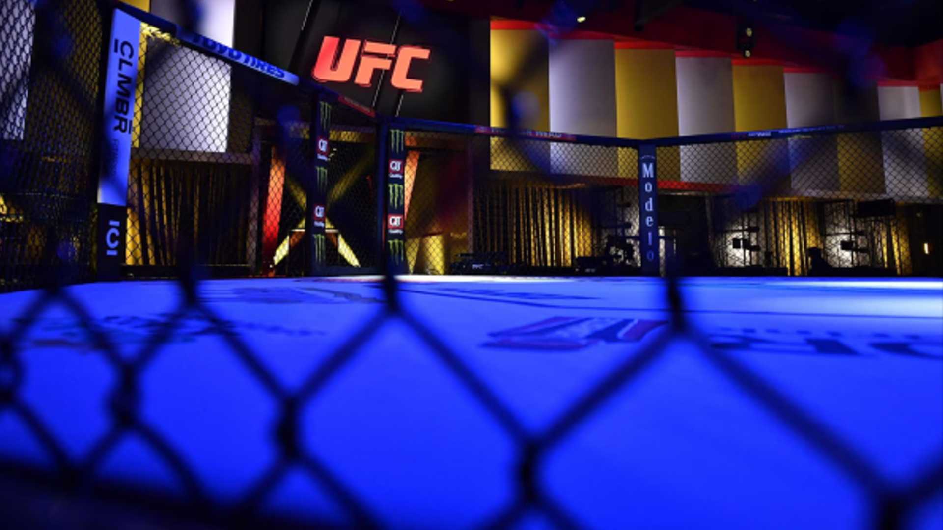 Meta partners with UFC to Revolutionize Fan Engagement - Fusion Chat