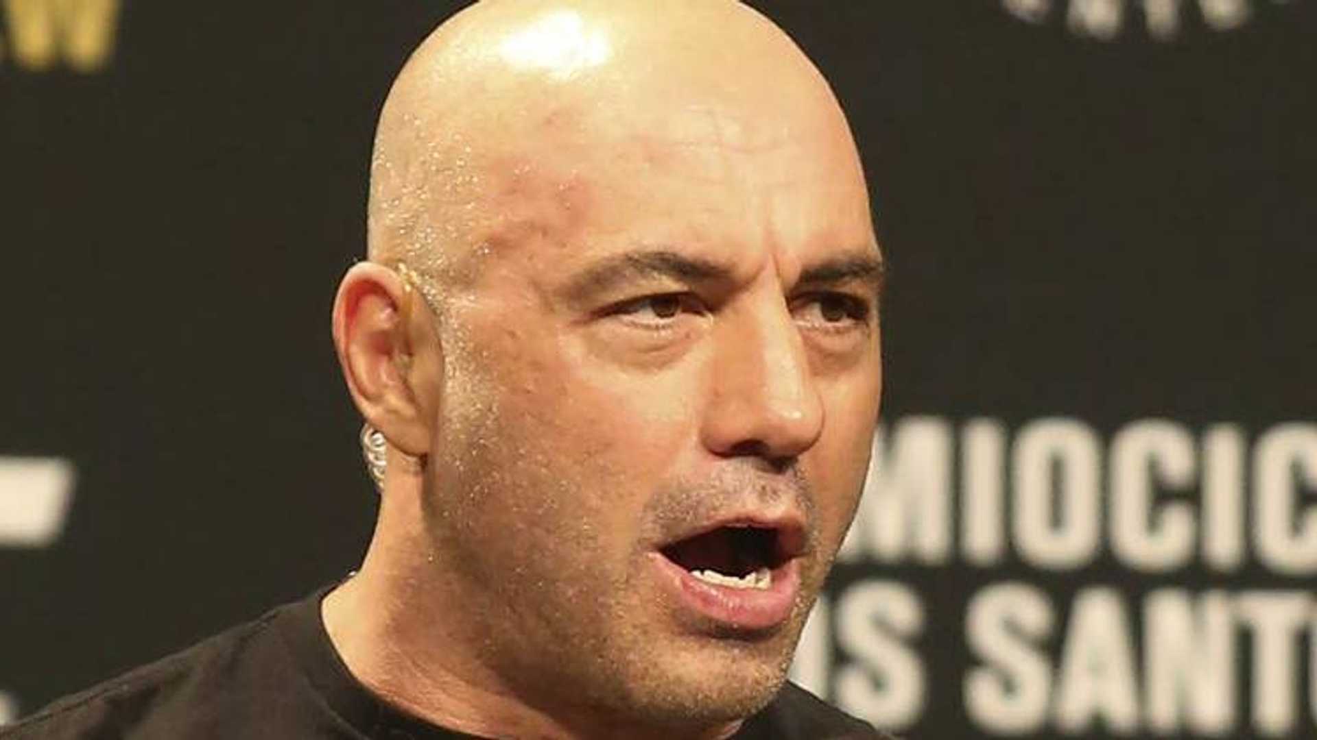 The Rise of Joe Rogan and AI Chatbots in US News Consumption - Fusion Chat