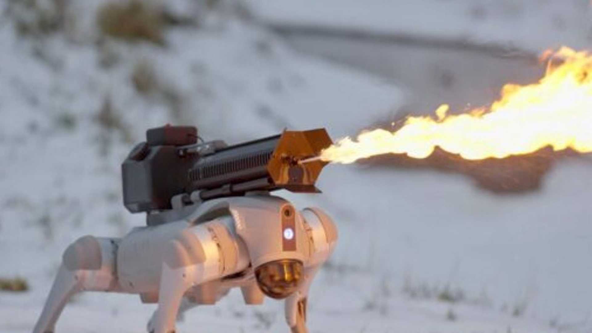 Meet Thermonator: The Flamethrower-Powered Robotic Canine - Fusion Chat